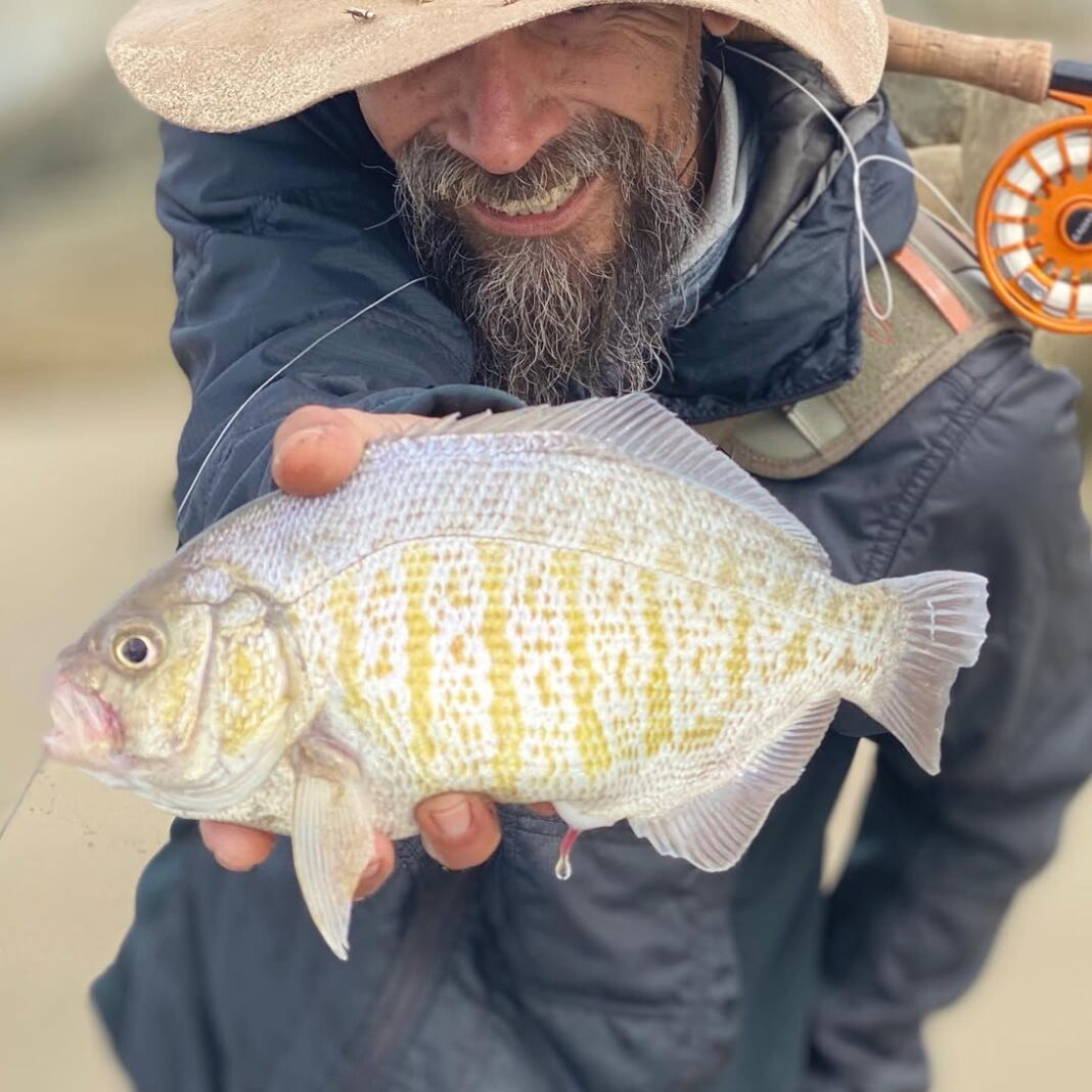 877 | Fly Fishing the Surf with Frank Vargas - Corbina, Surf Perch ...